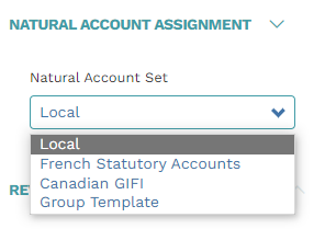 Chart of Accounts – Mondial Software
